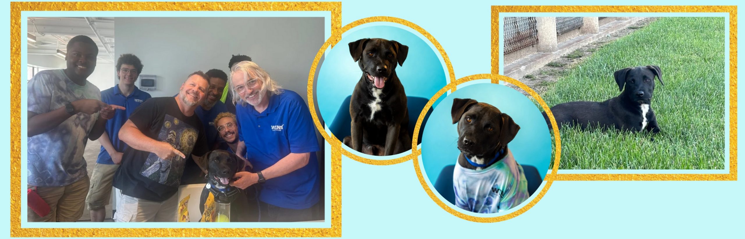 WIN Warehouse Celebrates Gibby the Dog - WIN Warehouse